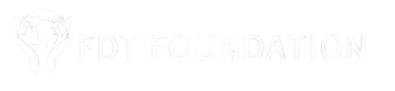 fdtfoundation.com